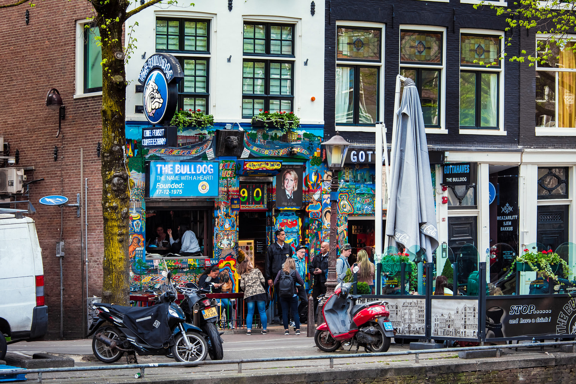 Cannabis Usage in the Netherlands: Everything You Need To Know * Eurocones